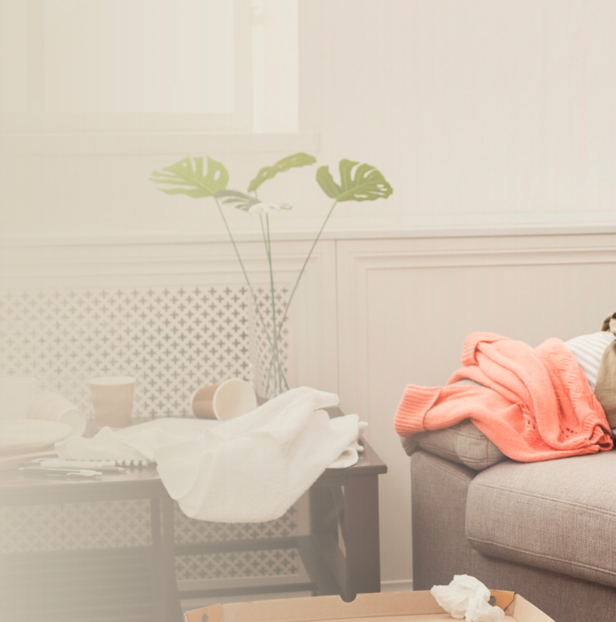 El Poder del Orden en el Feng Shui: Despeja tu Camino hacia la Armonía ...