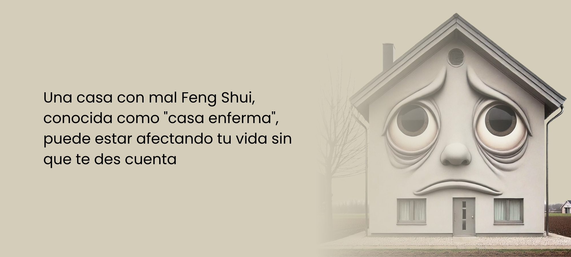 ¿Está tu Casa Enferma? Descubre Cómo Afecta Tu Vida y Cómo Sanarla ...